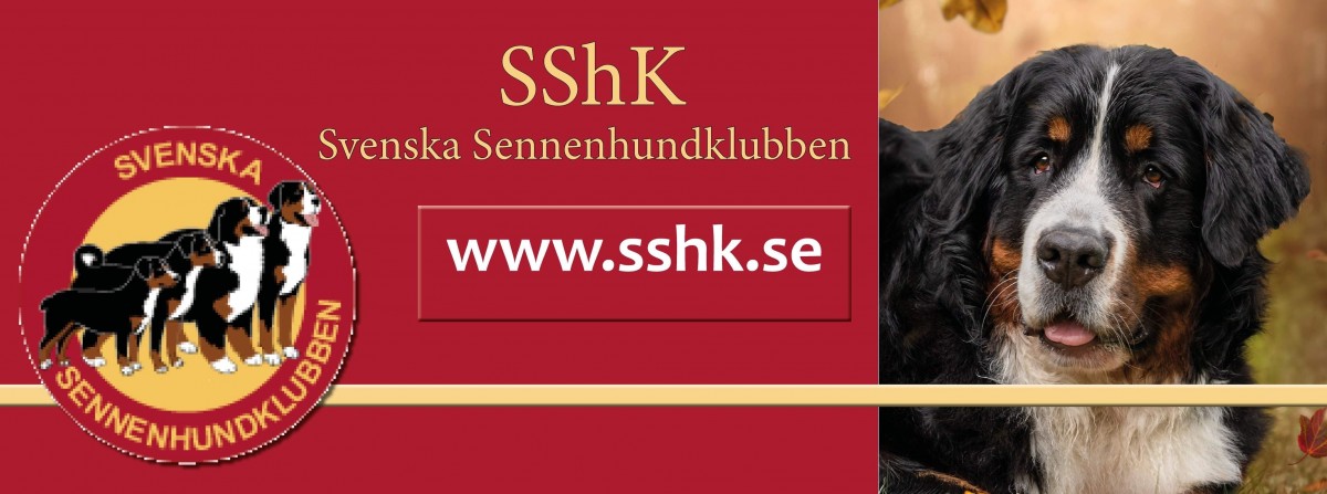 SSHK Sundsvall - SKK Dog Show