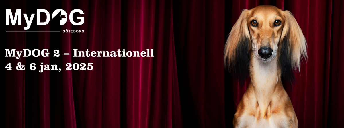 MyDog 2 - Internationell 4 & 6 jan, 2025 - SKK Dog Show