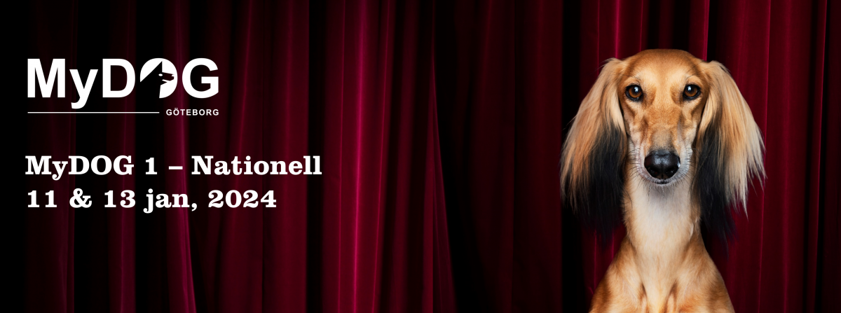 MyDog 1 -Nationell 11 & 13 jan, 2024 - Dog show